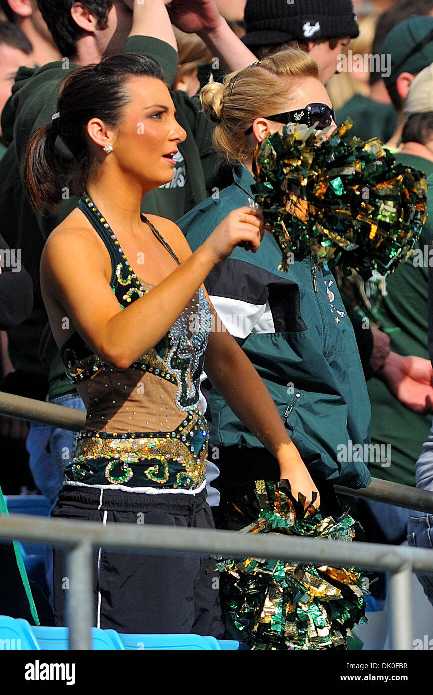 Bank of america stadium crowd hi-res stock photography and images - Alamy