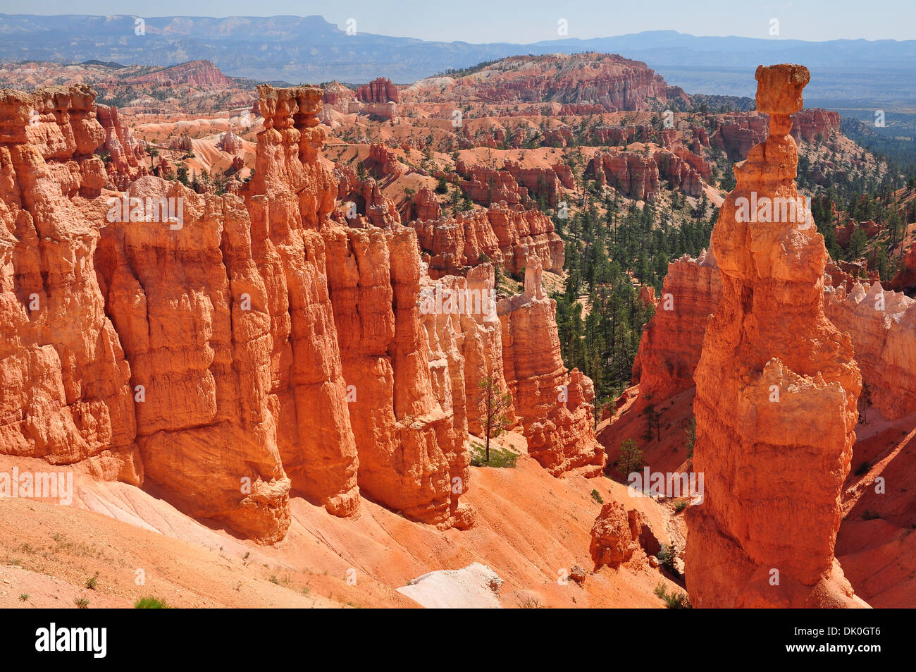 Red rocks in Bryce Canyon National Park Utah USA Stock Photo - Alamy