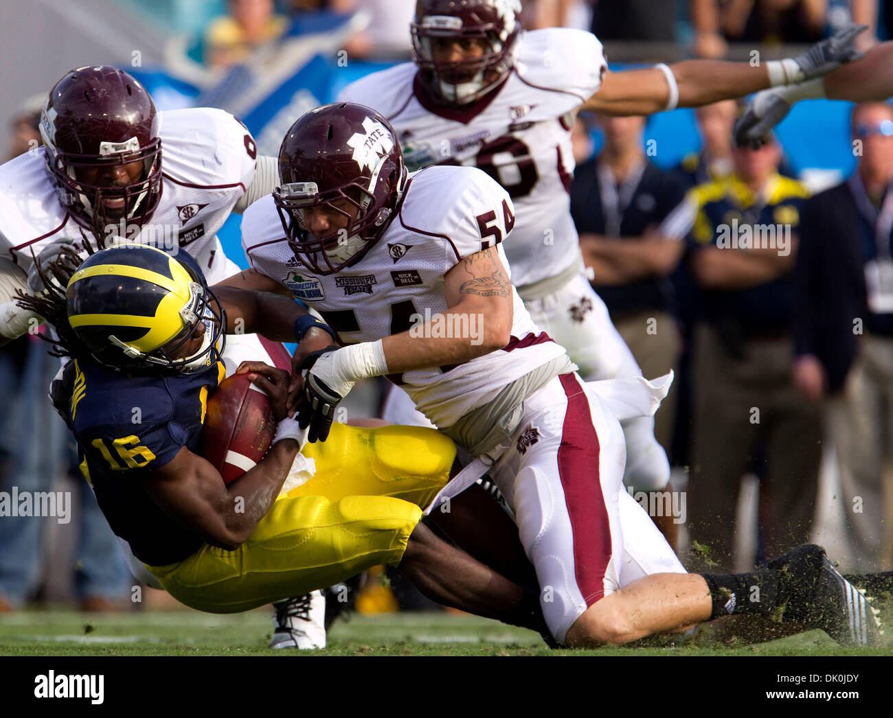 Stigers hi-res stock photography and images - Alamy
