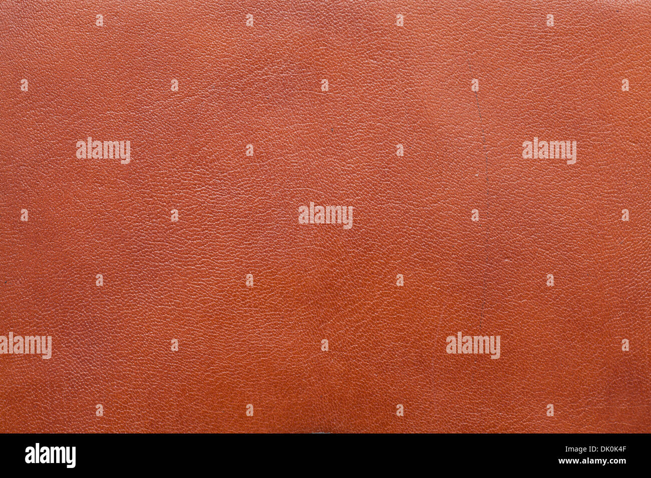 Leathery tan hi-res stock photography and images - Alamy