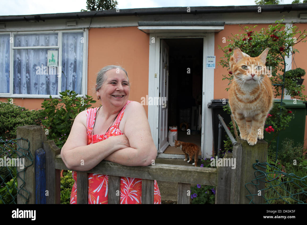 Catford cat hi-res stock photography and images - Alamy