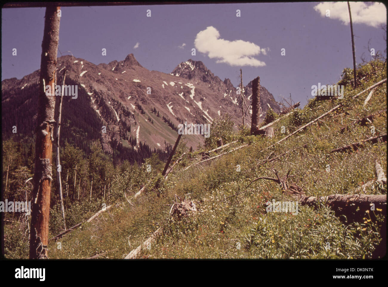 This image depicts the visible scars left on the landscape from logging ...
