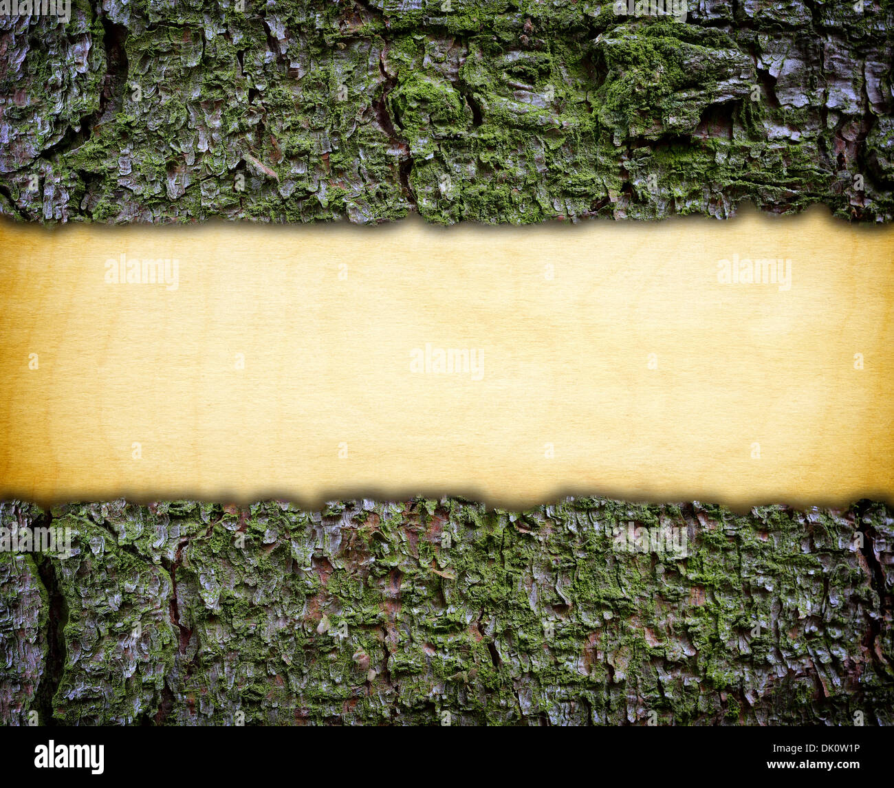 Frame made tree bark trunk hi-res stock photography and images - Alamy