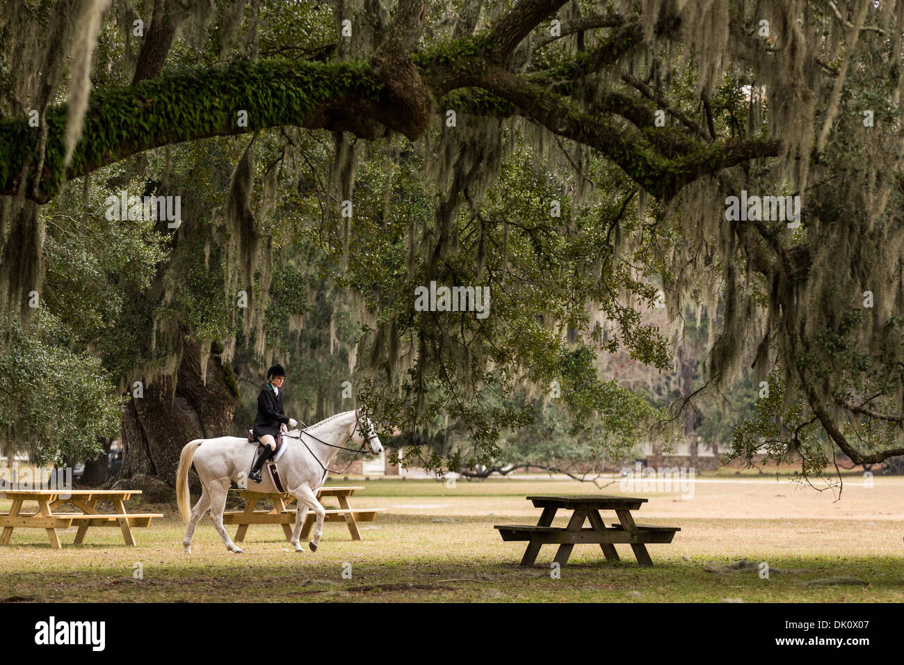 Fox hunt and rider hi-res stock photography and images - Alamy