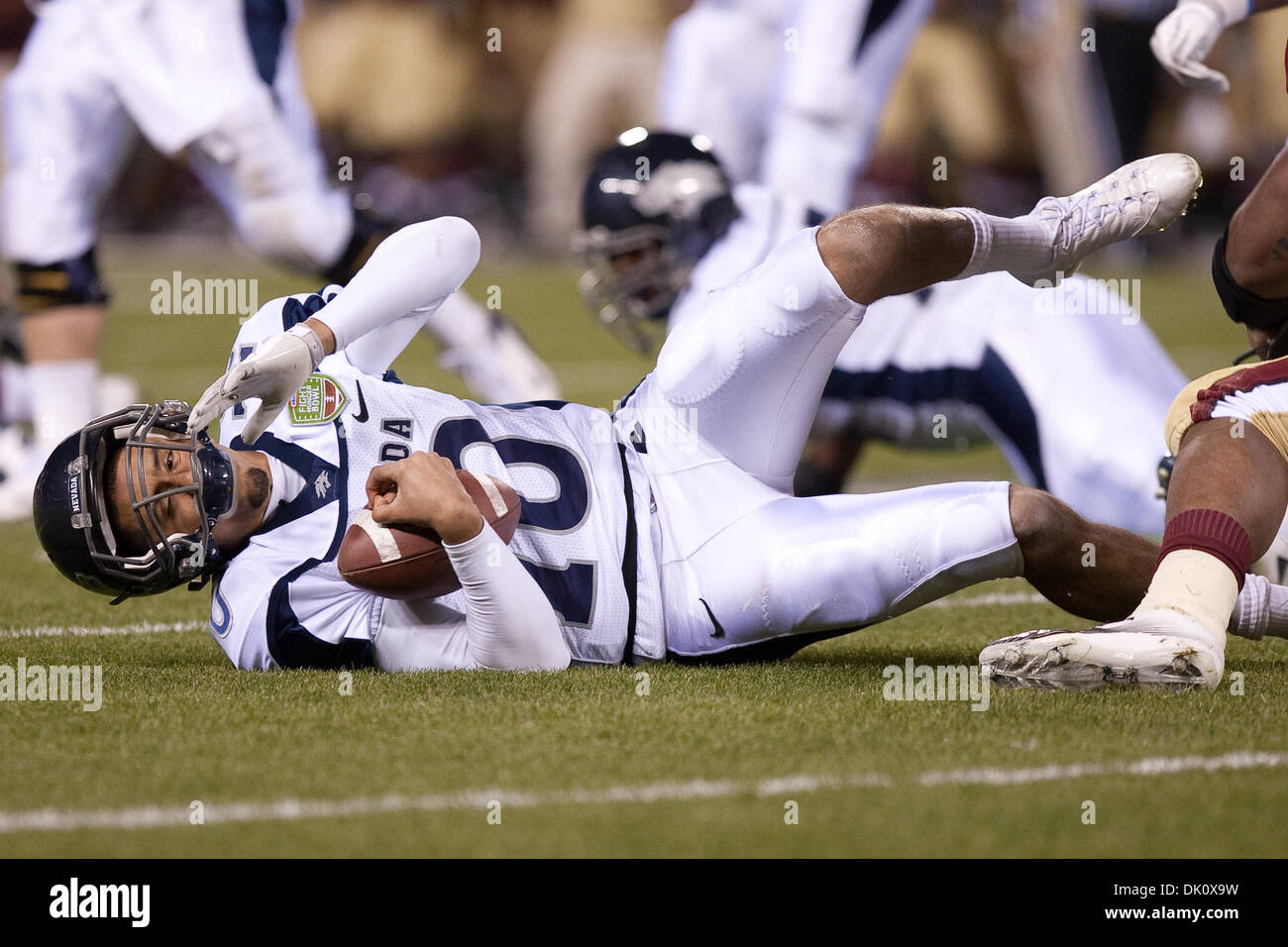 Kelly wolf hi-res stock photography and images - Alamy