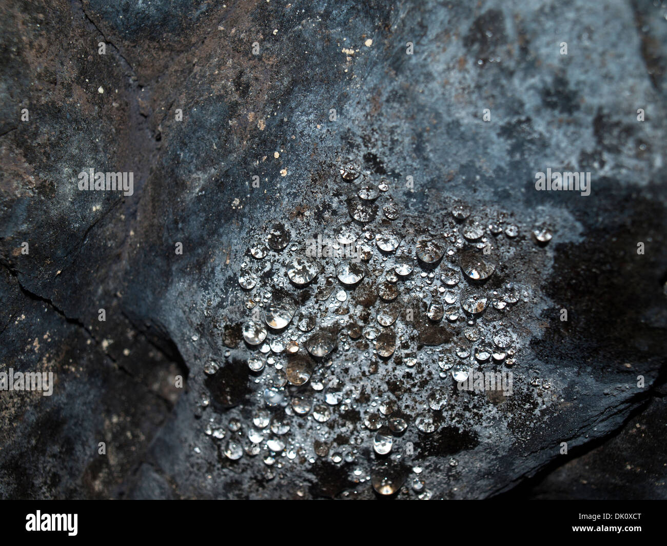 Water drops on cave top along the Caldeirão Verde levada path Stock ...