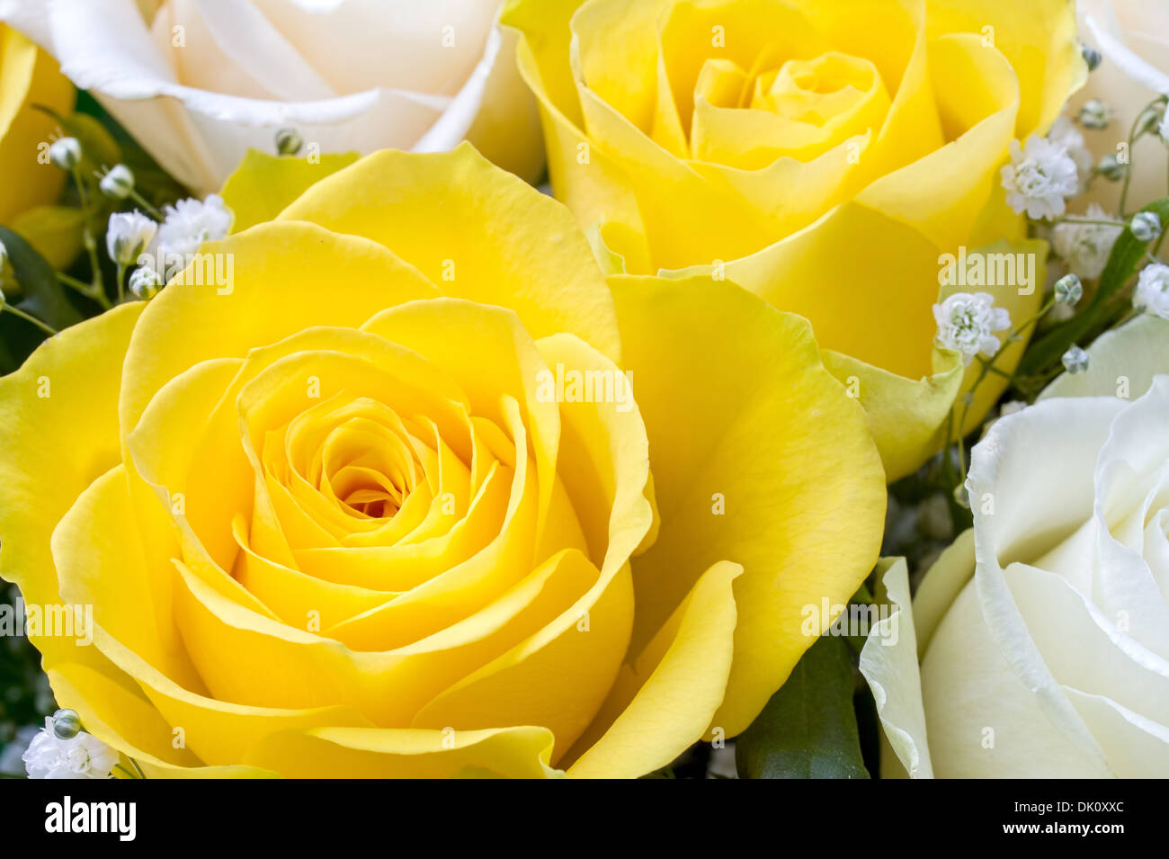Yellow rose flower bouquet hi-res stock photography and images - Alamy