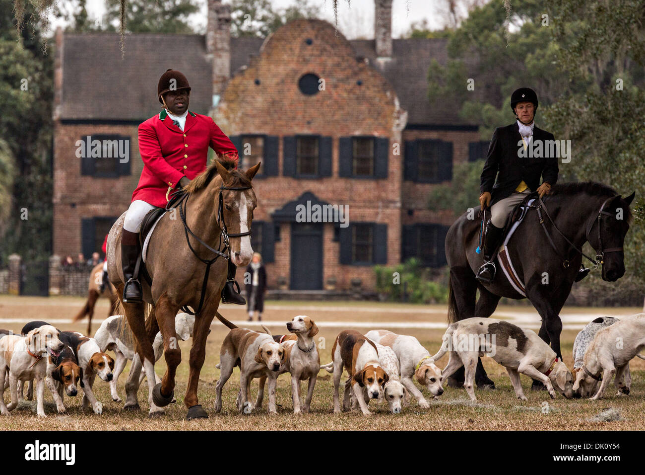 Huntsman Jamie Green leads the hounds in the first fox hunt of the ...