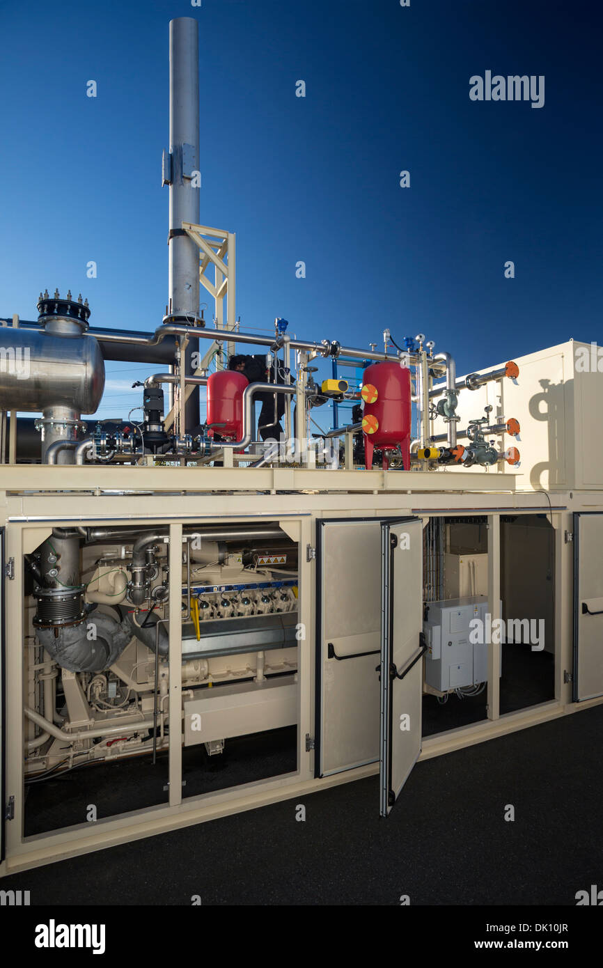 A containerized power station allowing the biogas recovering by ...