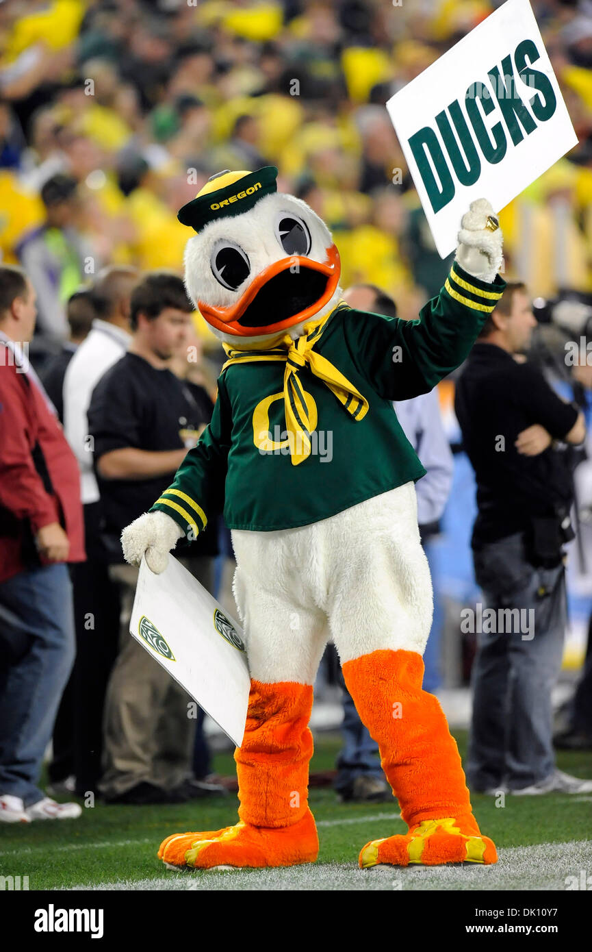 Oregon ducks mascot hi-res stock photography and images - Alamy