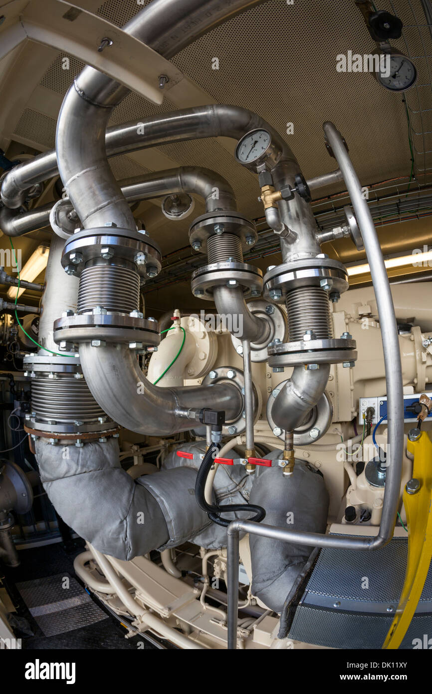 A containerized power station allowing the biogas recovering by ...