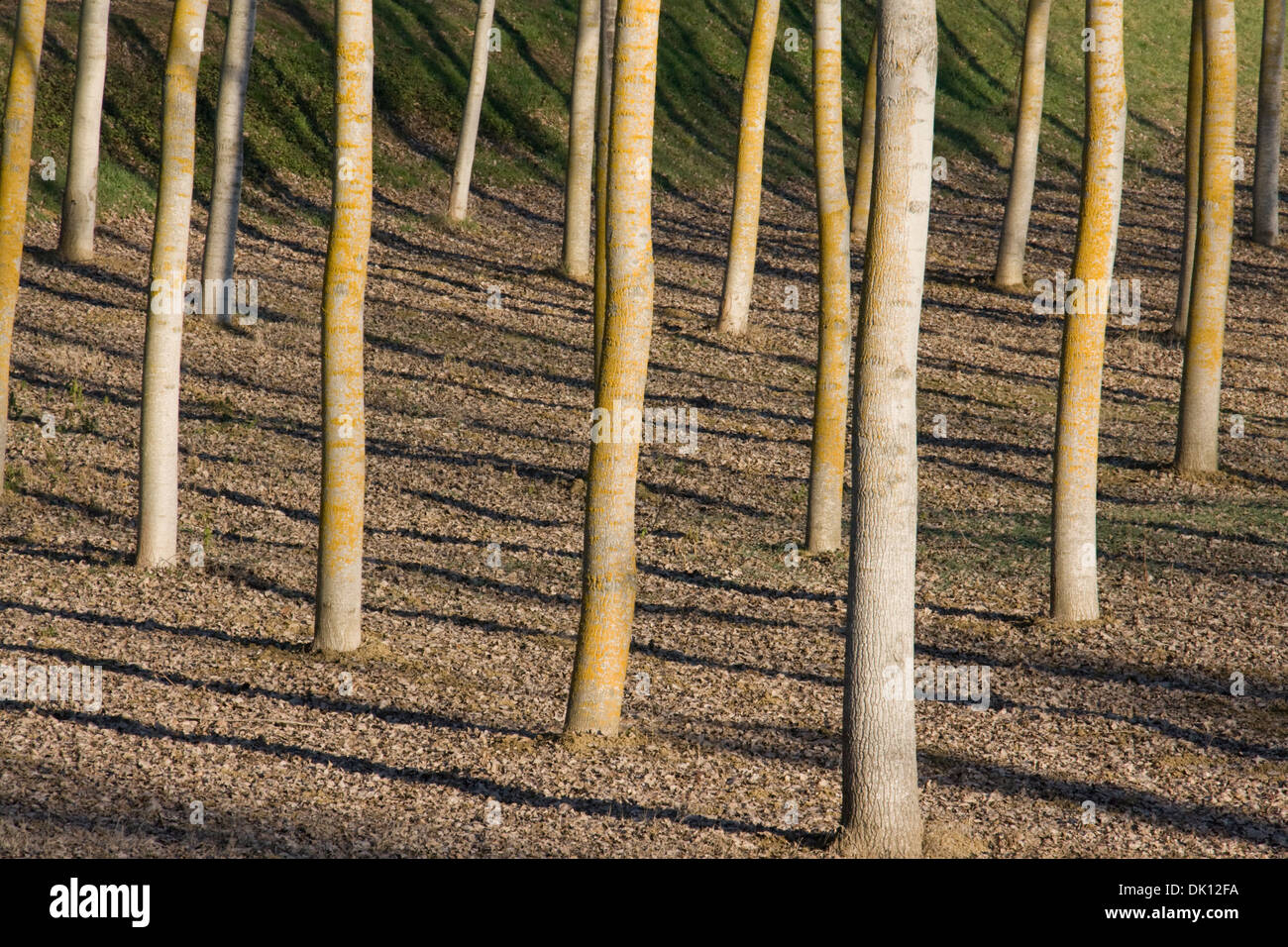 Vrtical hi-res stock photography and images - Alamy