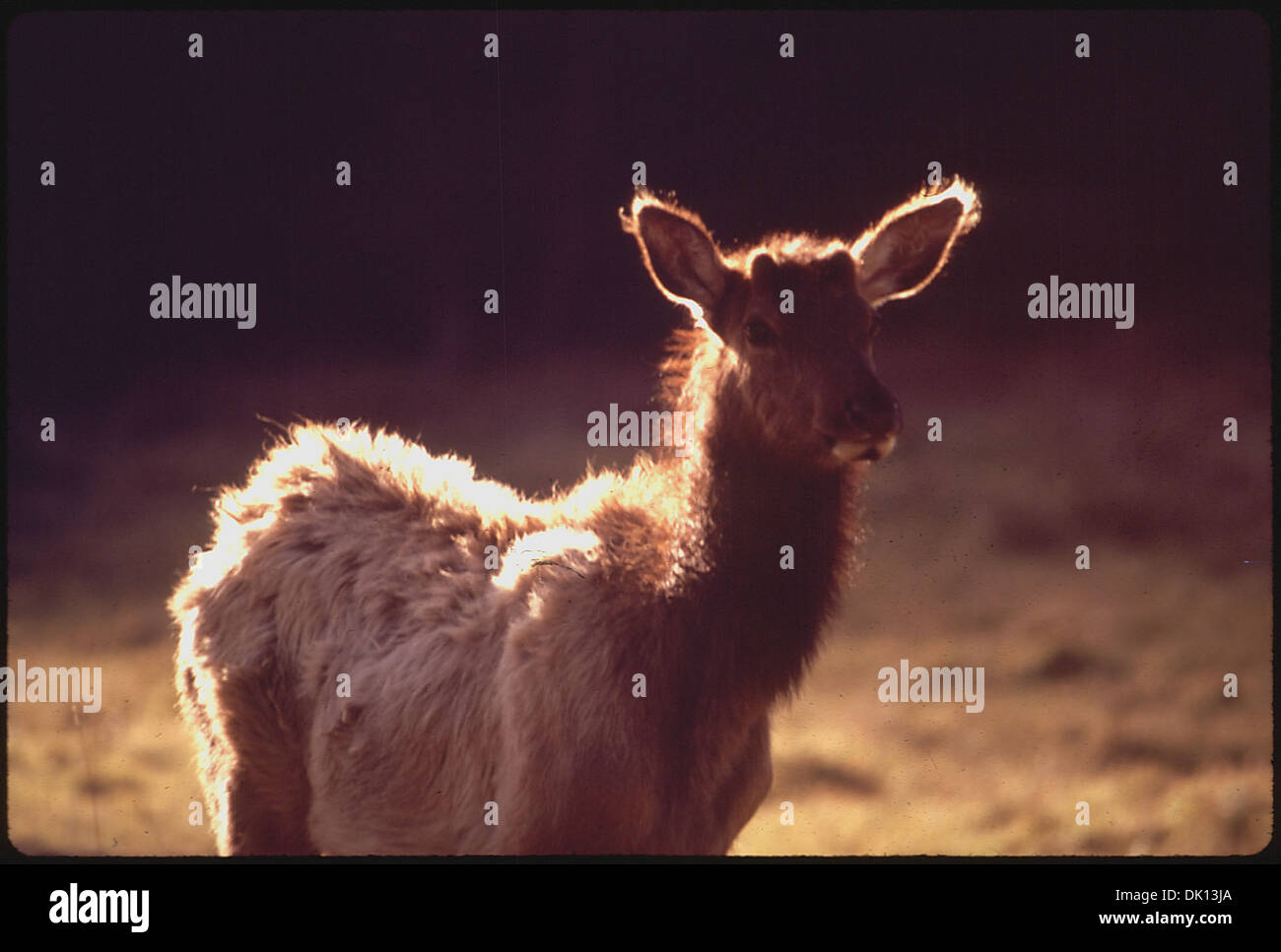 This image captures the scenic landscape of Northern California, known ...