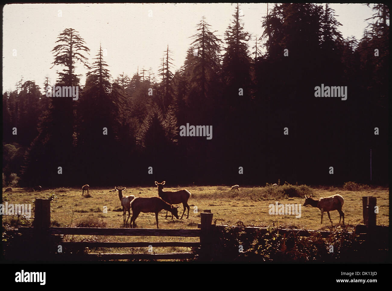 This photograph depicts the rugged and diverse landscape of Northern ...