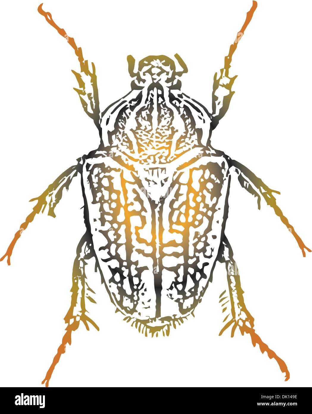 Vector artwork a beetle Stock Vector Image & Art - Alamy