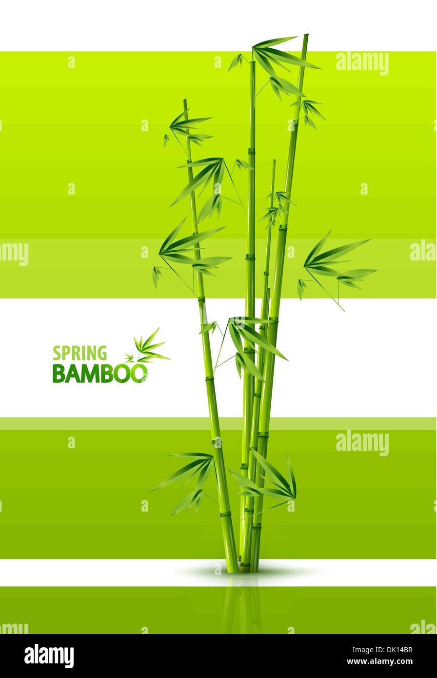 Spring nature bamboo vector background Stock Vector Image & Art - Alamy