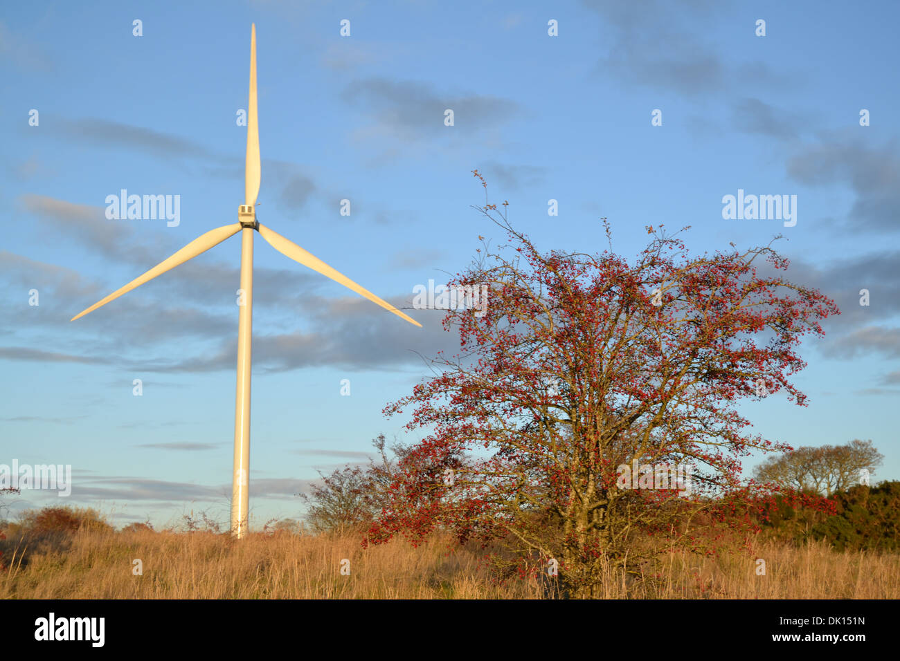 Cathkin Braes Windmill Stock Photo - Alamy