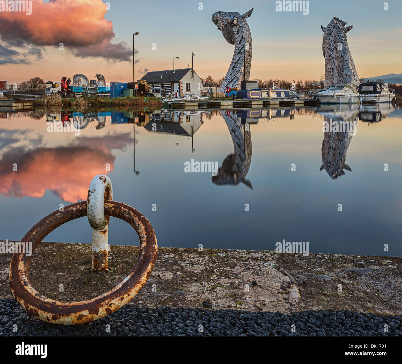 Blue kelpies hi-res stock photography and images - Alamy
