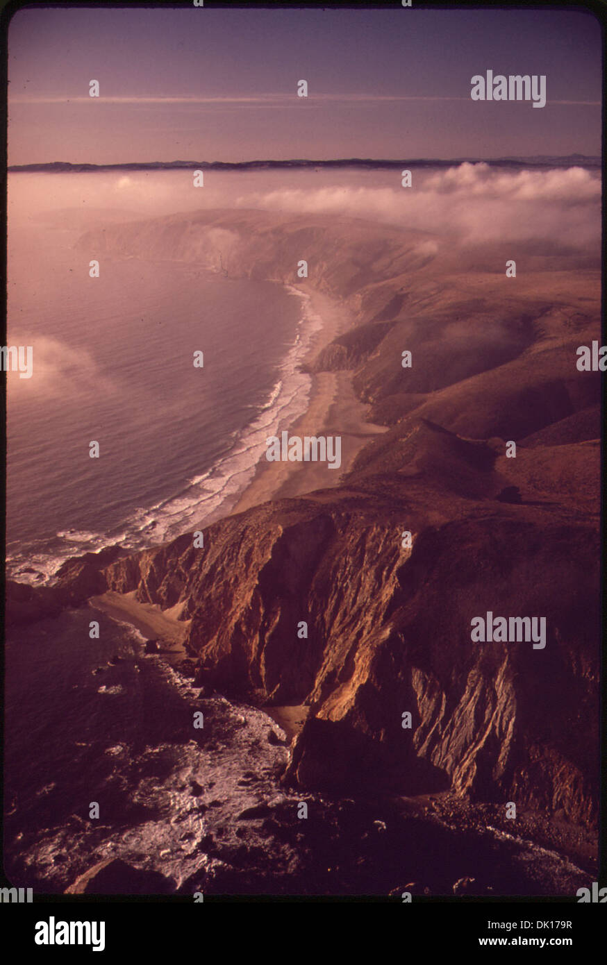 Redwood forests dominate much of Northern California's landscape ...