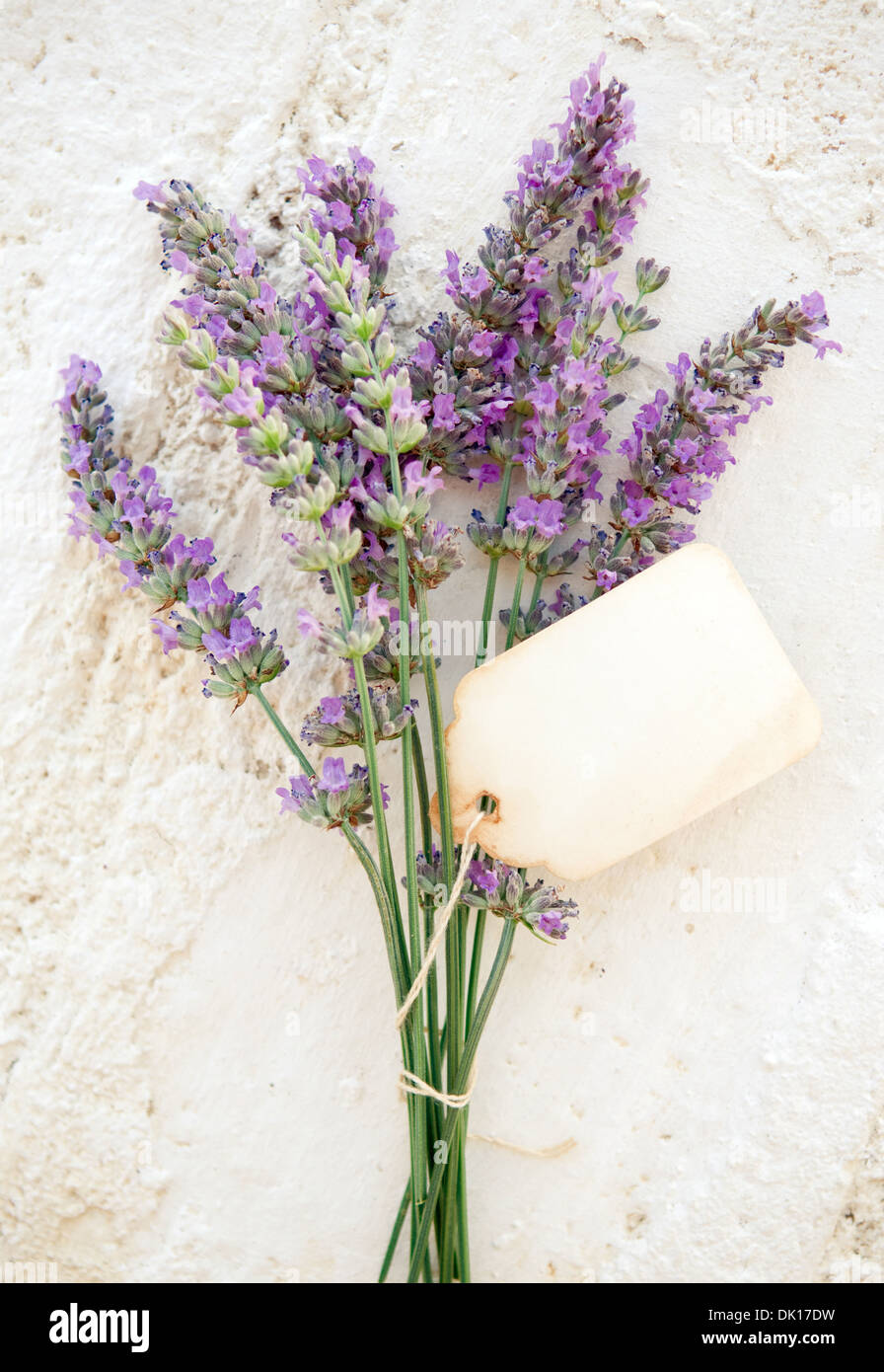 Old blank paper hi-res stock photography and images - Alamy