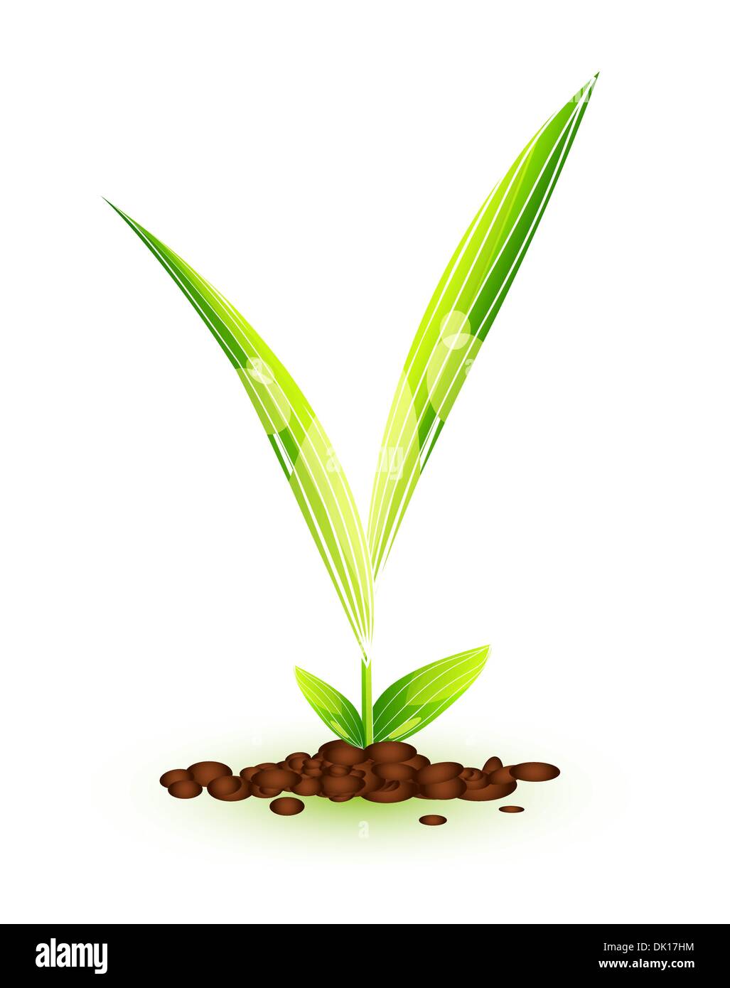 Abstract green nature eco concept Stock Vector Image & Art - Alamy