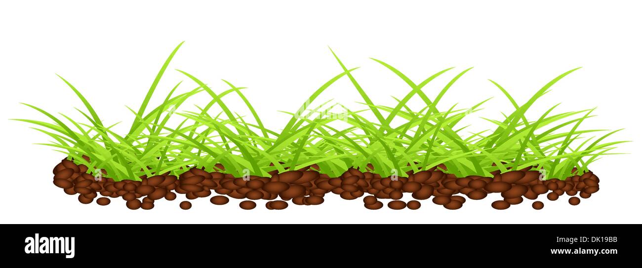 Vector Fresh Grass Design Plant Stock Vector Image And Art Alamy