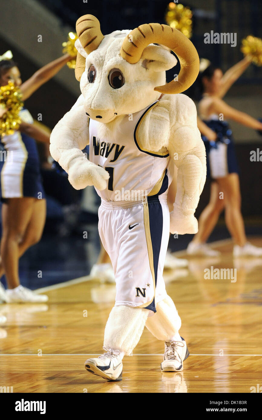 Naval academy goat mascot hi-res stock photography and images - Alamy
