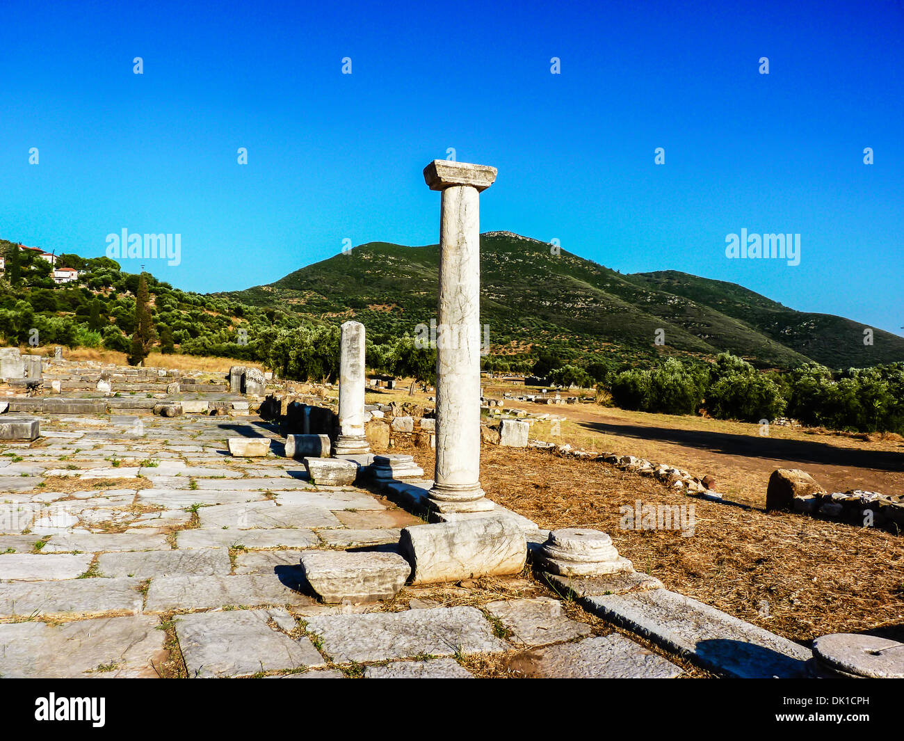 Pillar ruins at Ancient Messini, Messinia, Peloponnese, Greece Stock ...