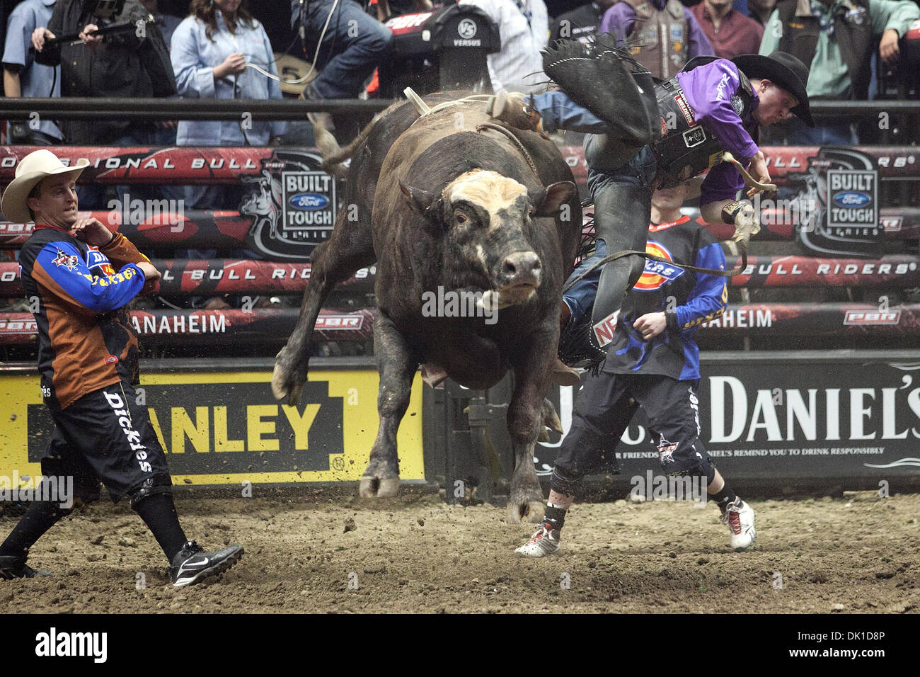 After bull ride hi-res stock photography and images - Alamy