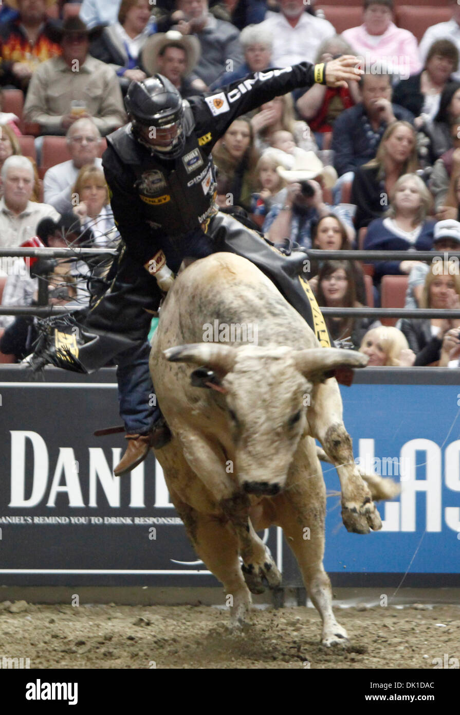 Jason and bull hi-res stock photography and images - Alamy