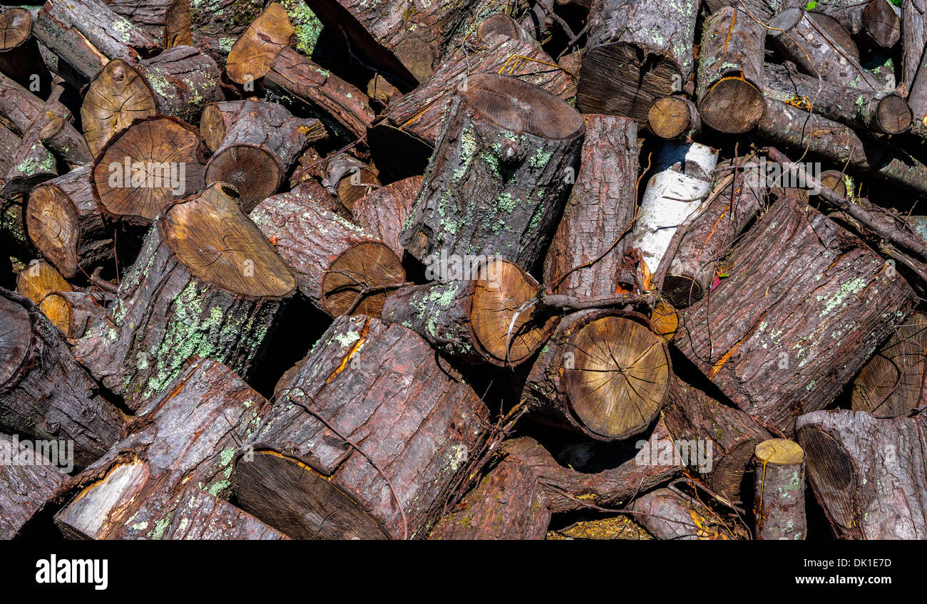 Pile of logs Stock Photo - Alamy