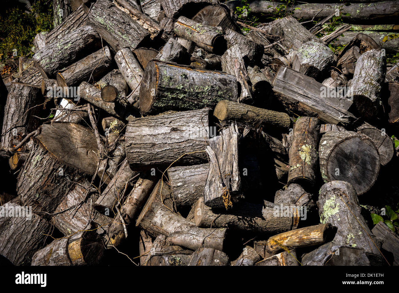 Split wood logs hi-res stock photography and images - Alamy