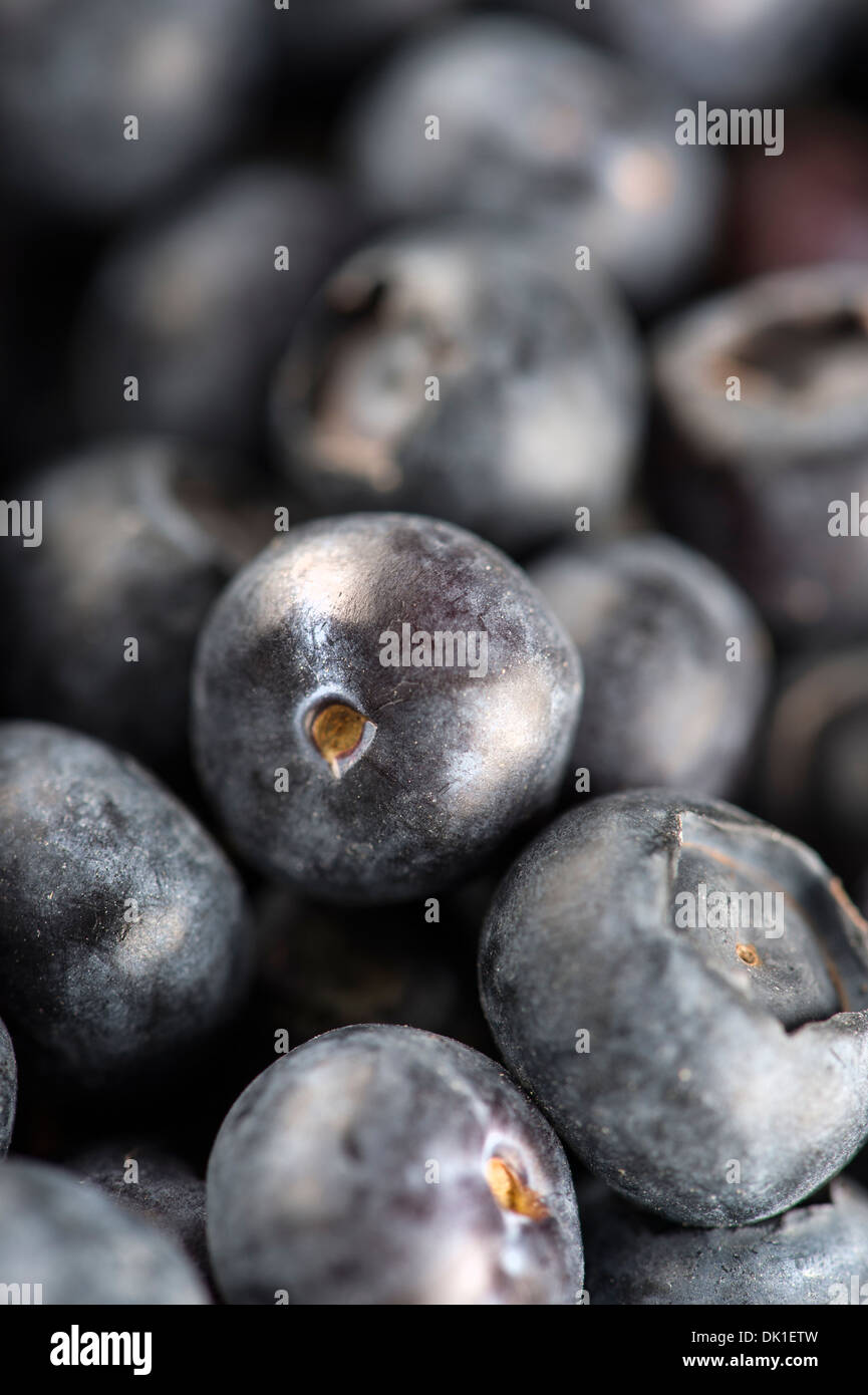 Pile of wet blueberries Stock Photo - Alamy