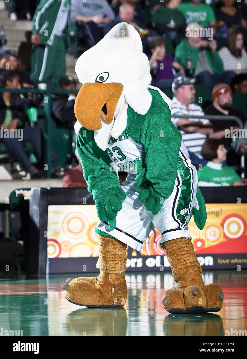 University of arkansas mascot hi-res stock photography and images - Alamy