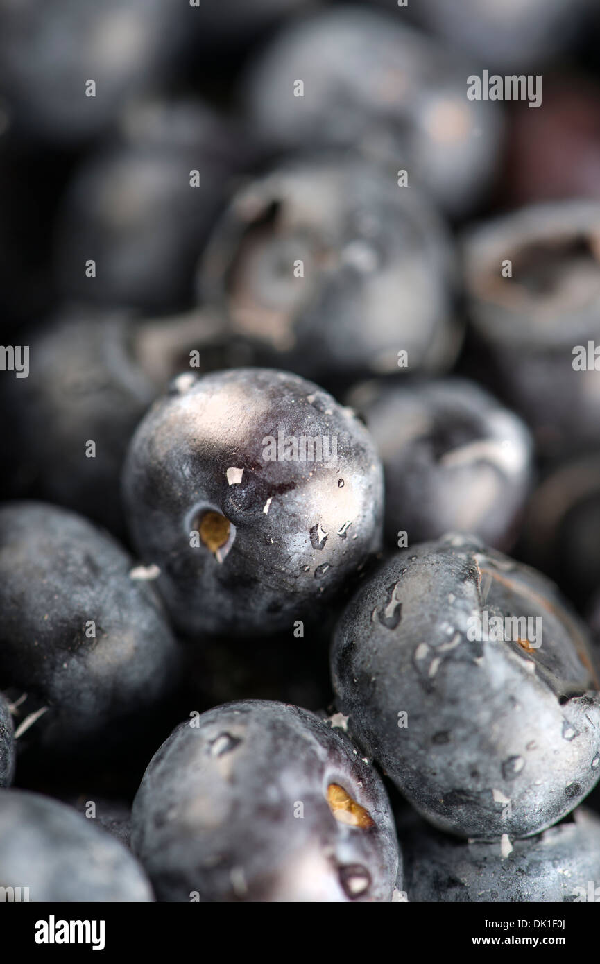 Pile of wet blueberries Stock Photo - Alamy