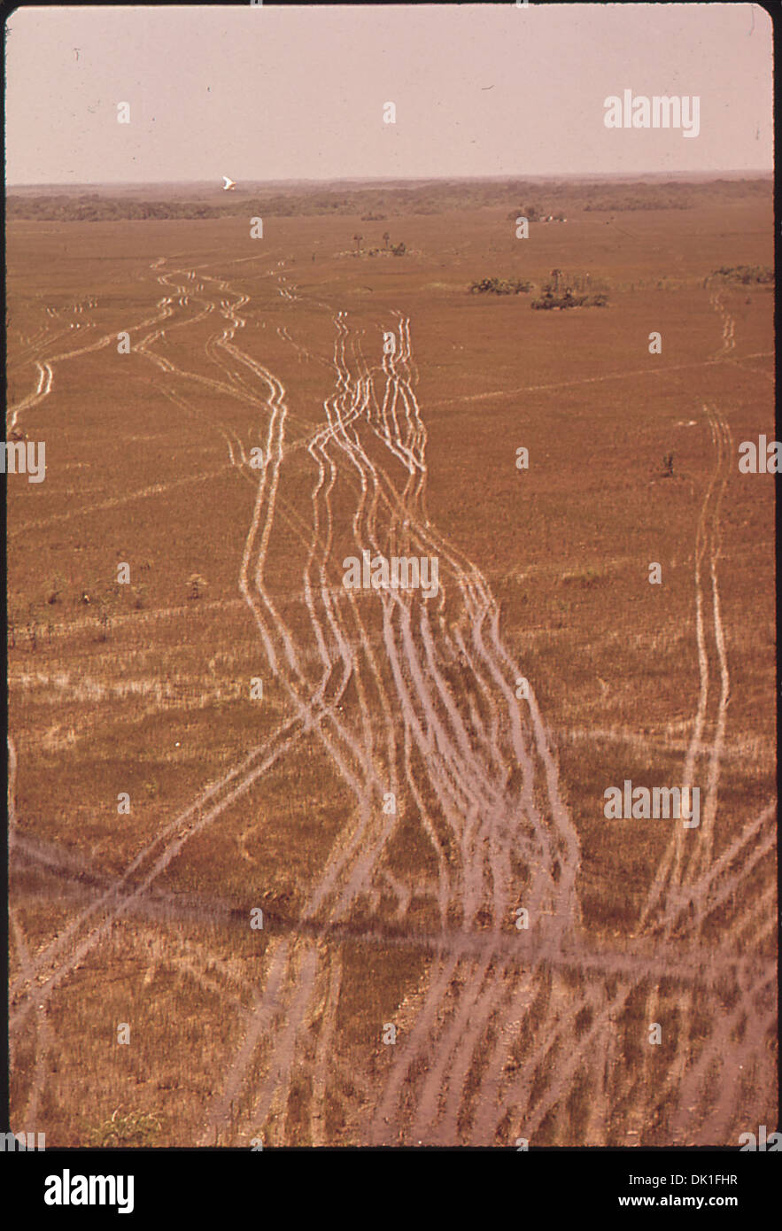 Swamp buggy tracks are visible in the Big Cypress Swamp of Florida, a ...