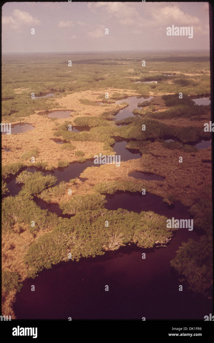 The Ten Thousand Islands are a coastal region in southern Florida ...