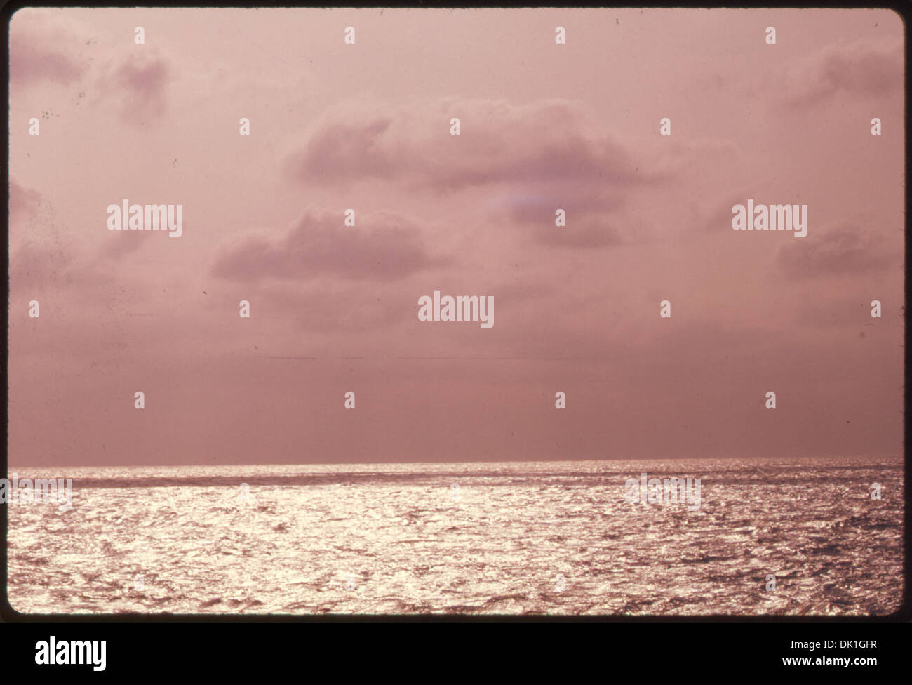 The New York Bight is a coastal marine area shaped significantly by ...