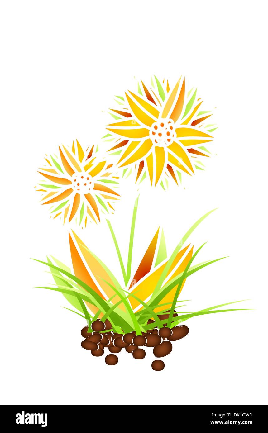 Abstract green nature eco concept Stock Vector Image & Art - Alamy