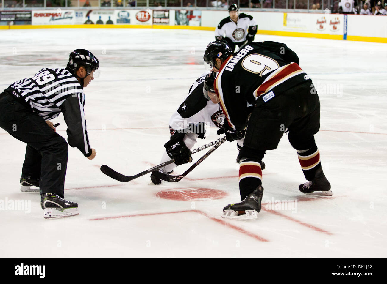 Jan. 23, 2011 - Las Vegas, Nevada, U.S - Bakersfield Condors Forward ...