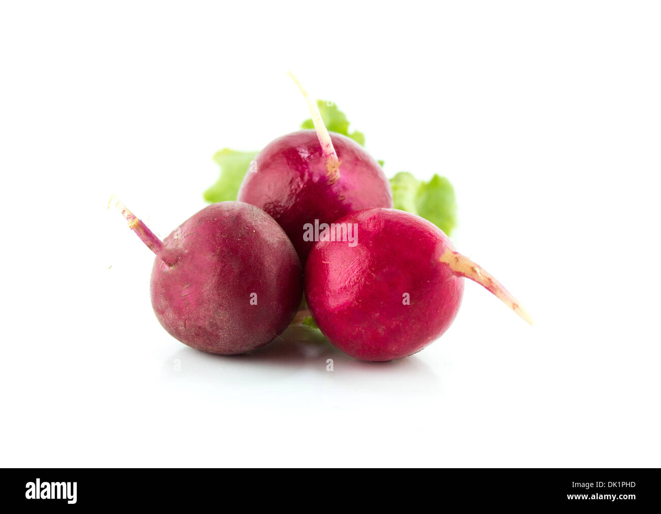 Small garden red radish on white background Stock Photo - Alamy