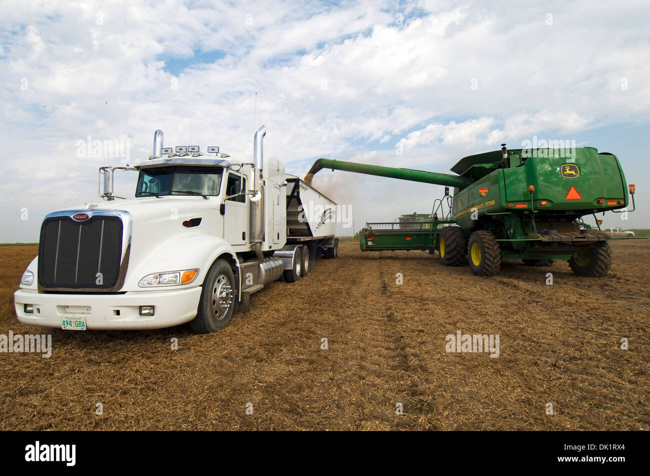Combine combining hi-res stock photography and images - Alamy