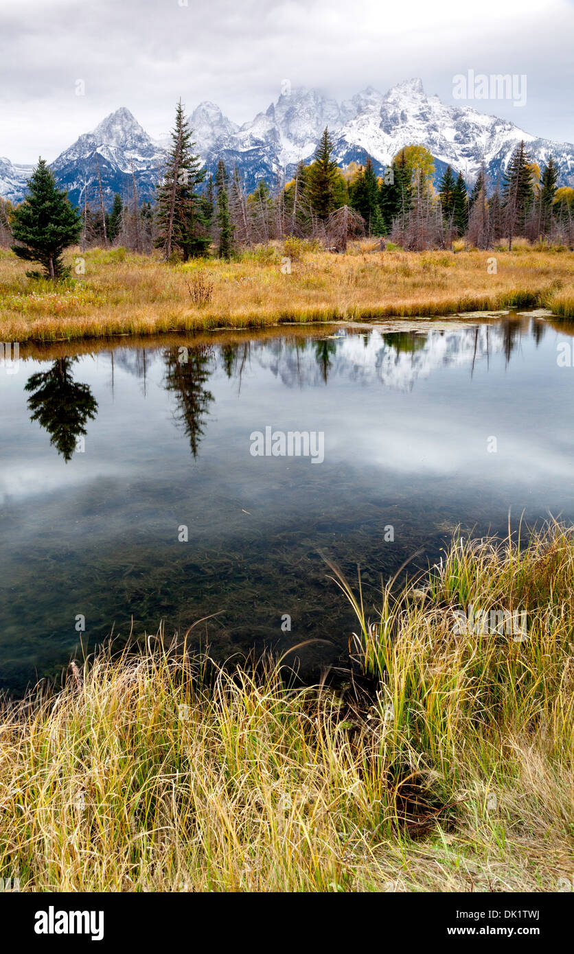 Reflection reflections beaver pond hi-res stock photography and images ...