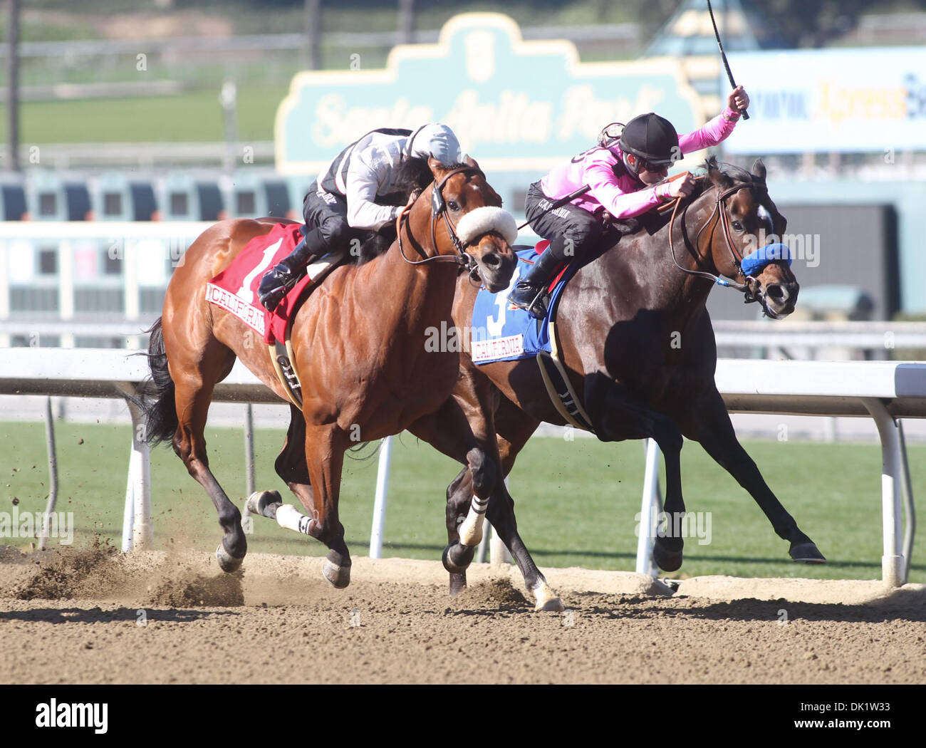 Joe talamo hi-res stock photography and images - Alamy