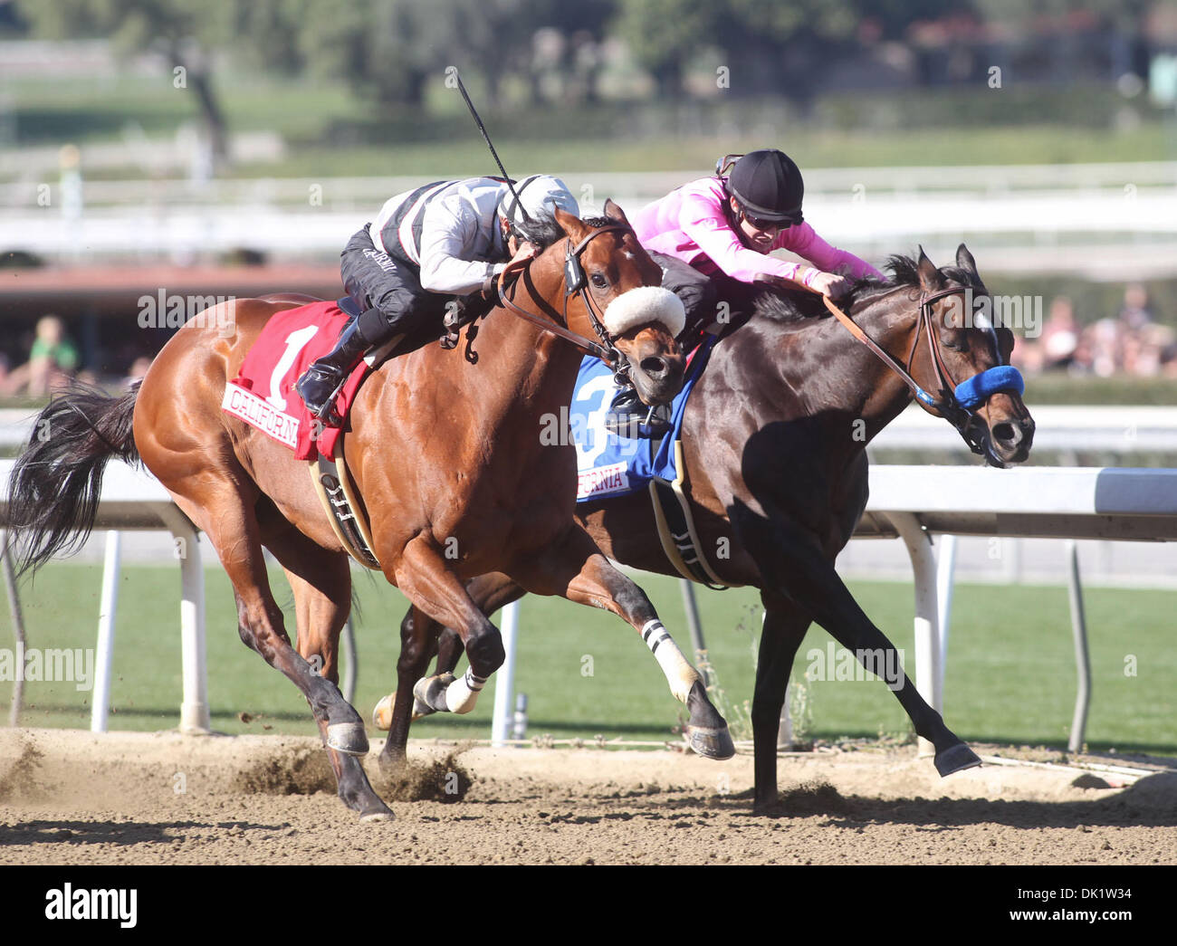 Joe talamo hi-res stock photography and images - Alamy