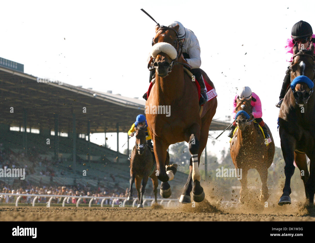 Joe talamo hi-res stock photography and images - Alamy