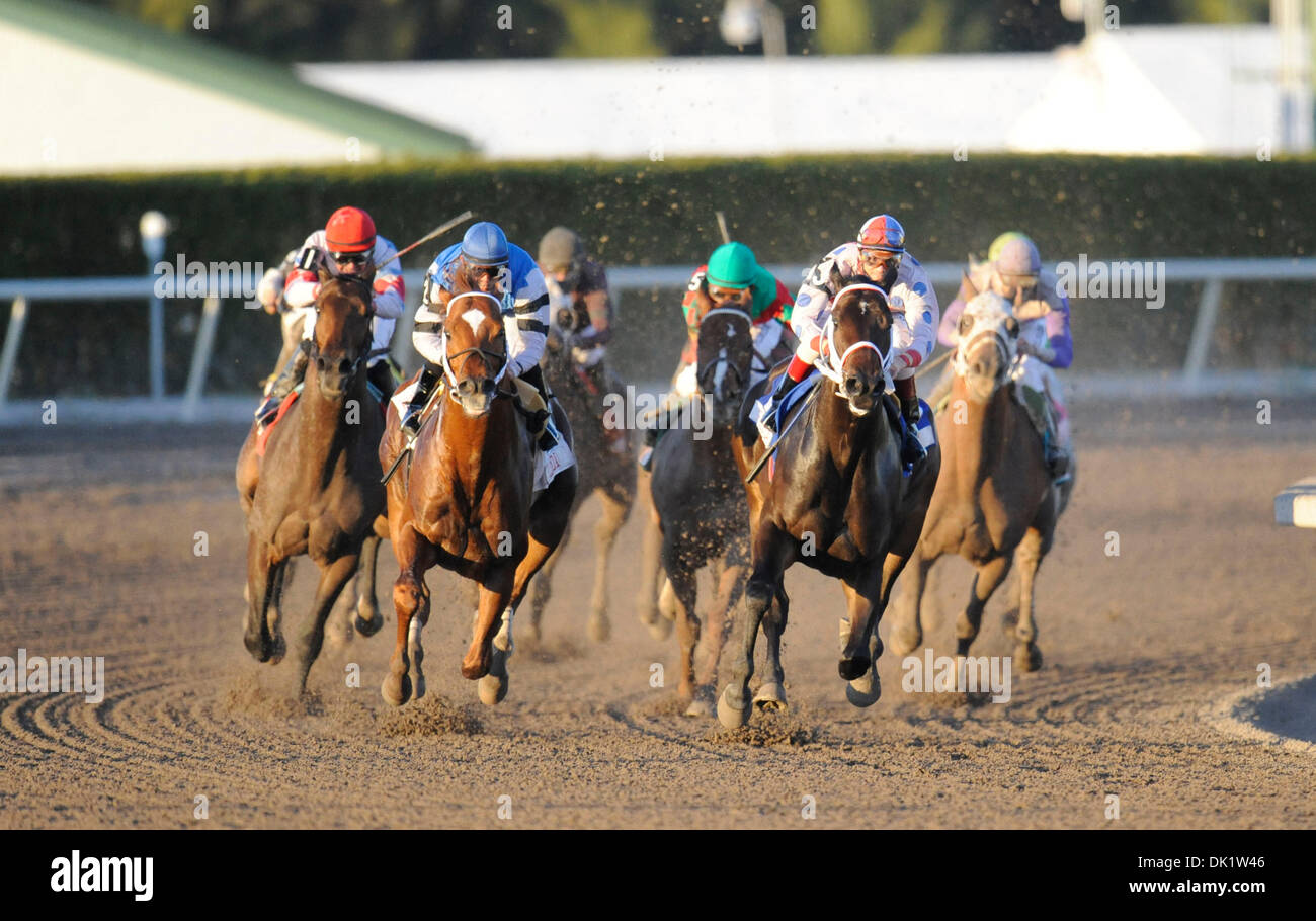 Tackleberry hi-res stock photography and images - Alamy