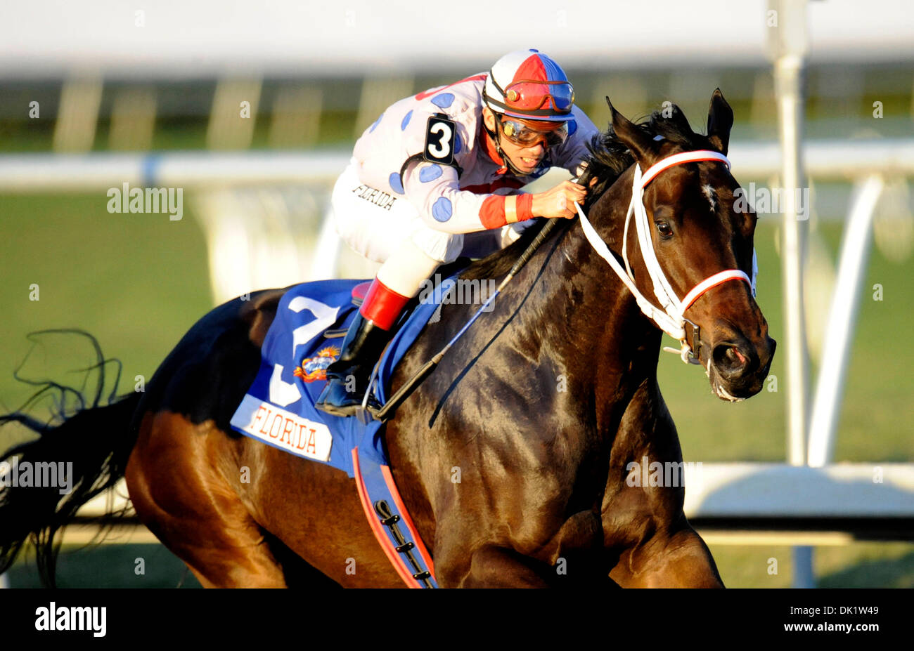 Tackleberry hi-res stock photography and images - Alamy