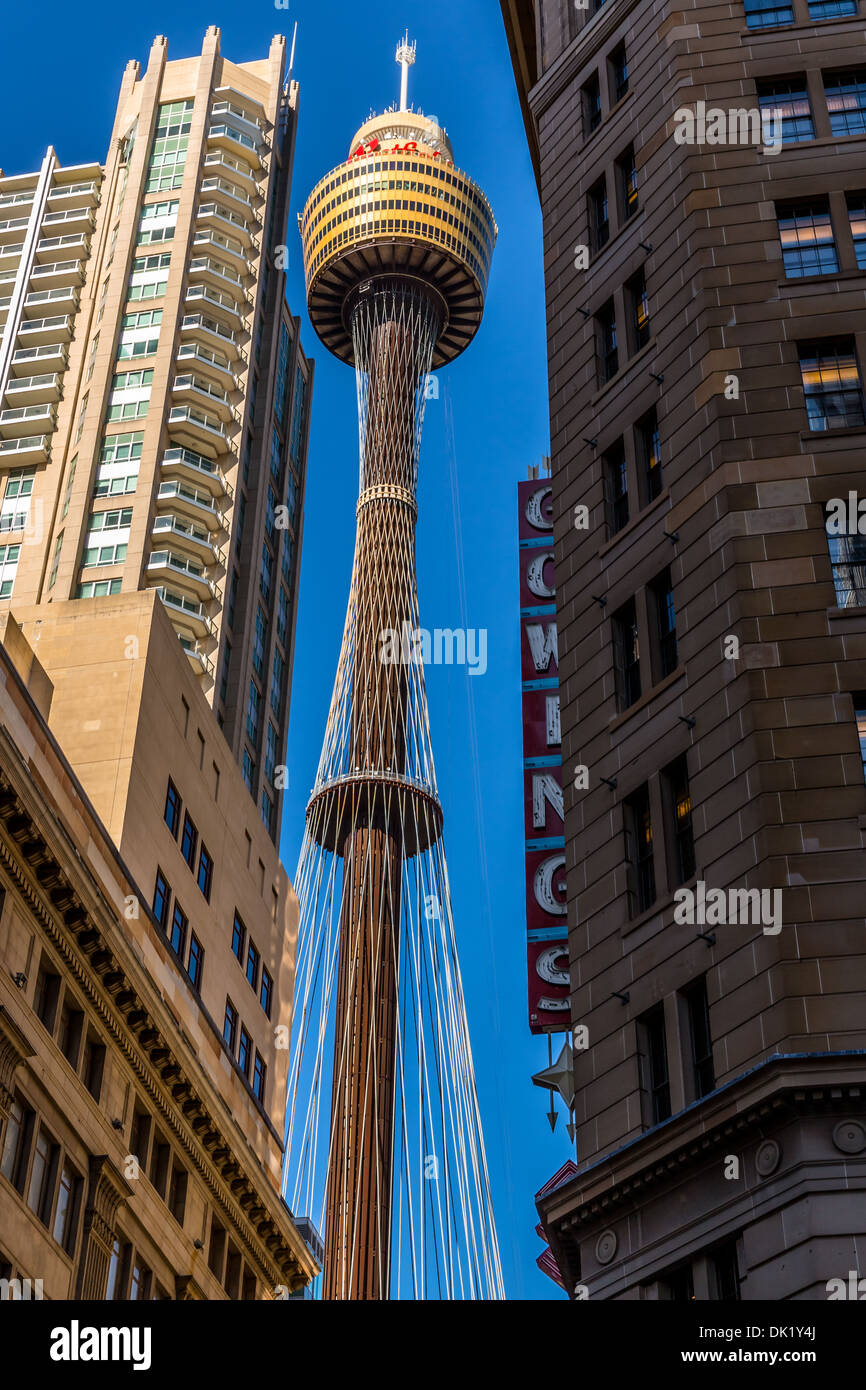 Sydney tower hi-res stock photography and images - Alamy