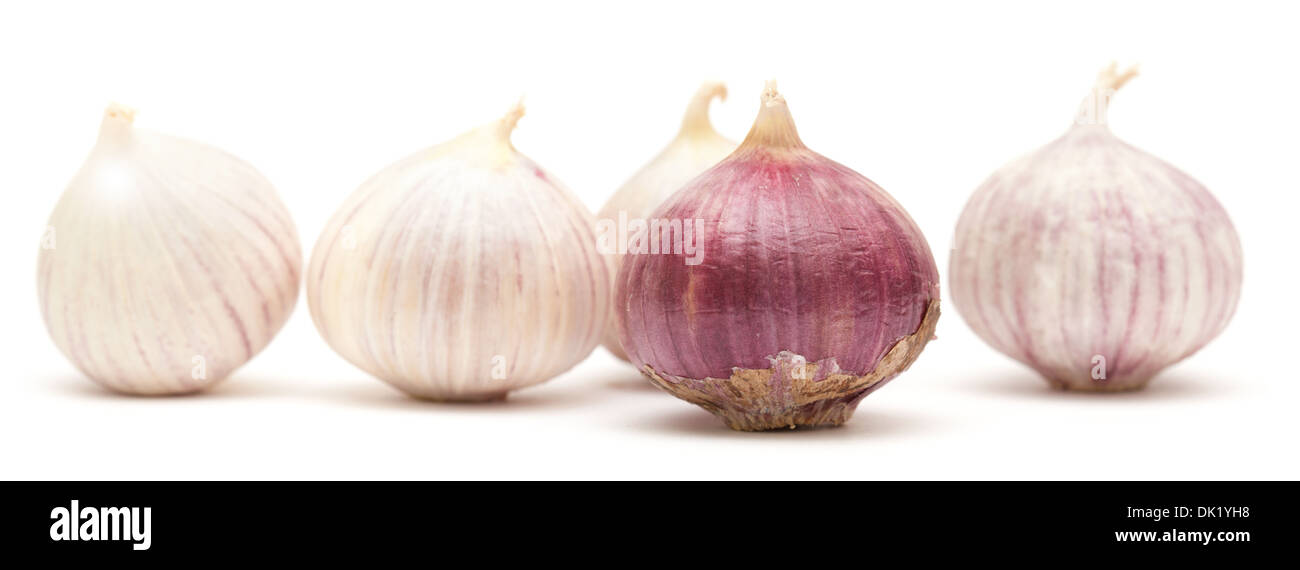 Single clove garlic isolated on white background Stock Photo - Alamy